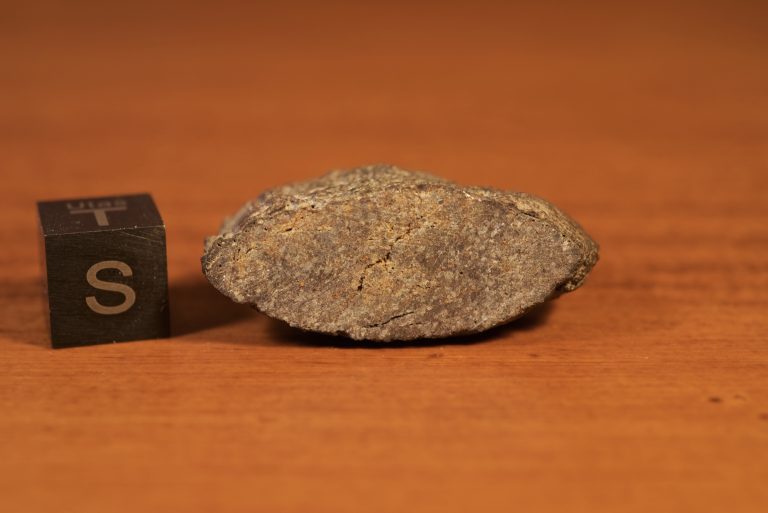 Willcox Playa 010, lodranite - Meteorite Gallery