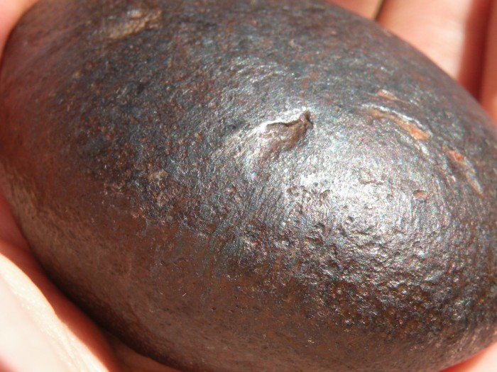 NWA, Oriented Iron - Meteorite Gallery