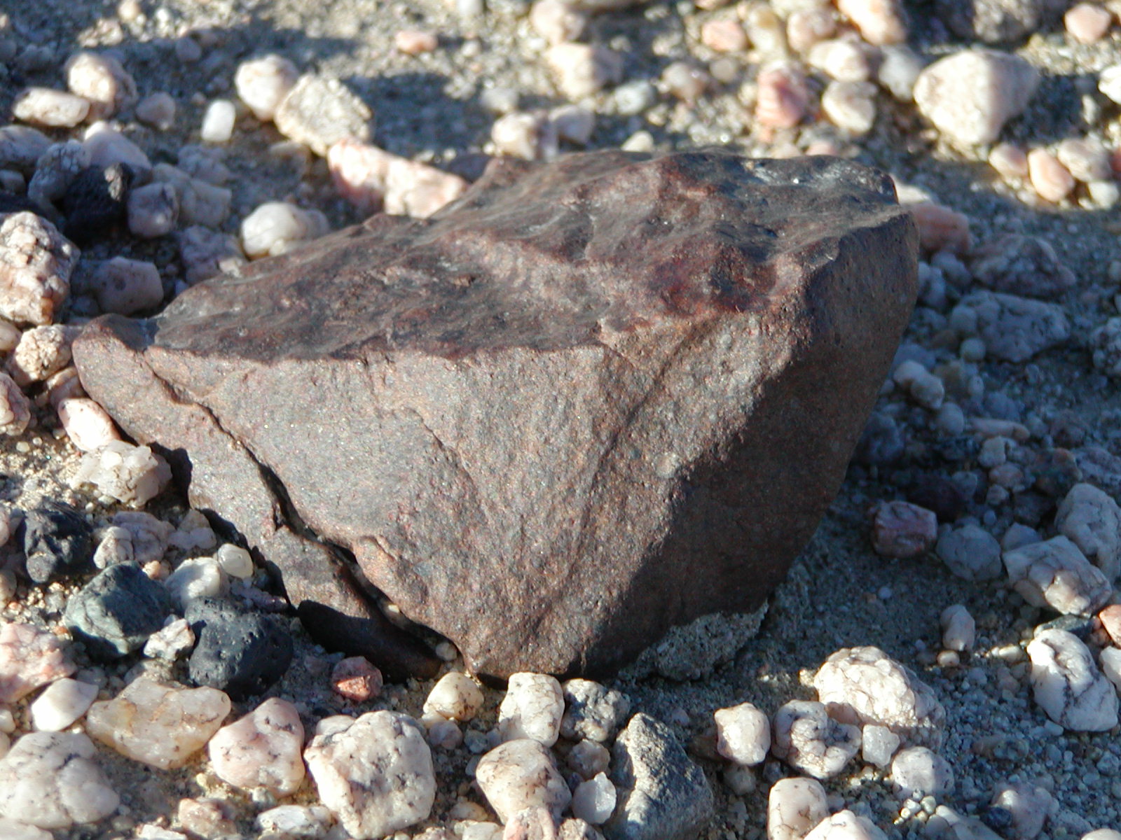 hunting for meteorites - Meteorite Gallery