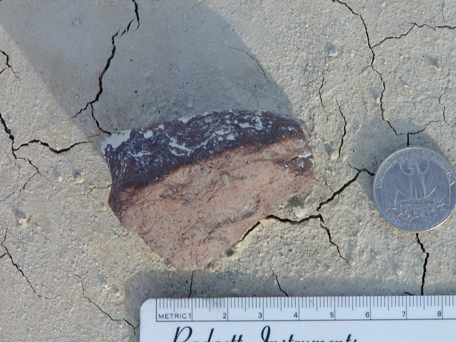 hunting for meteorites - Meteorite Gallery