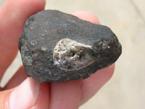 Allende, CV3.2 - Meteorite Gallery