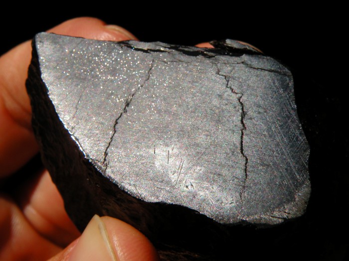 NWA 3202, IIAB - Meteorite Gallery