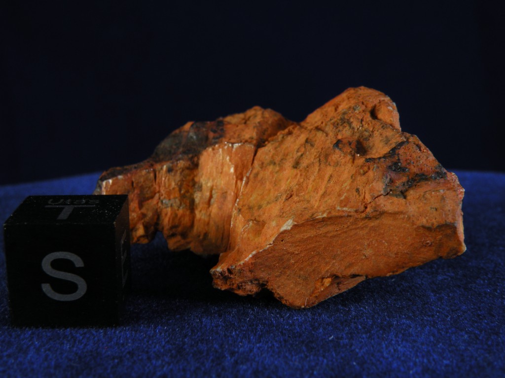Mount Egerton, anomalous aubrite - Meteorite Gallery