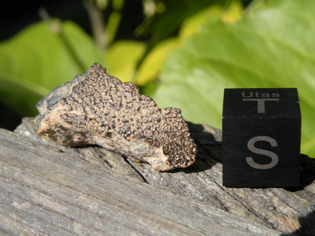 NWA 7034, Martian regolith breccia - Meteorite Gallery