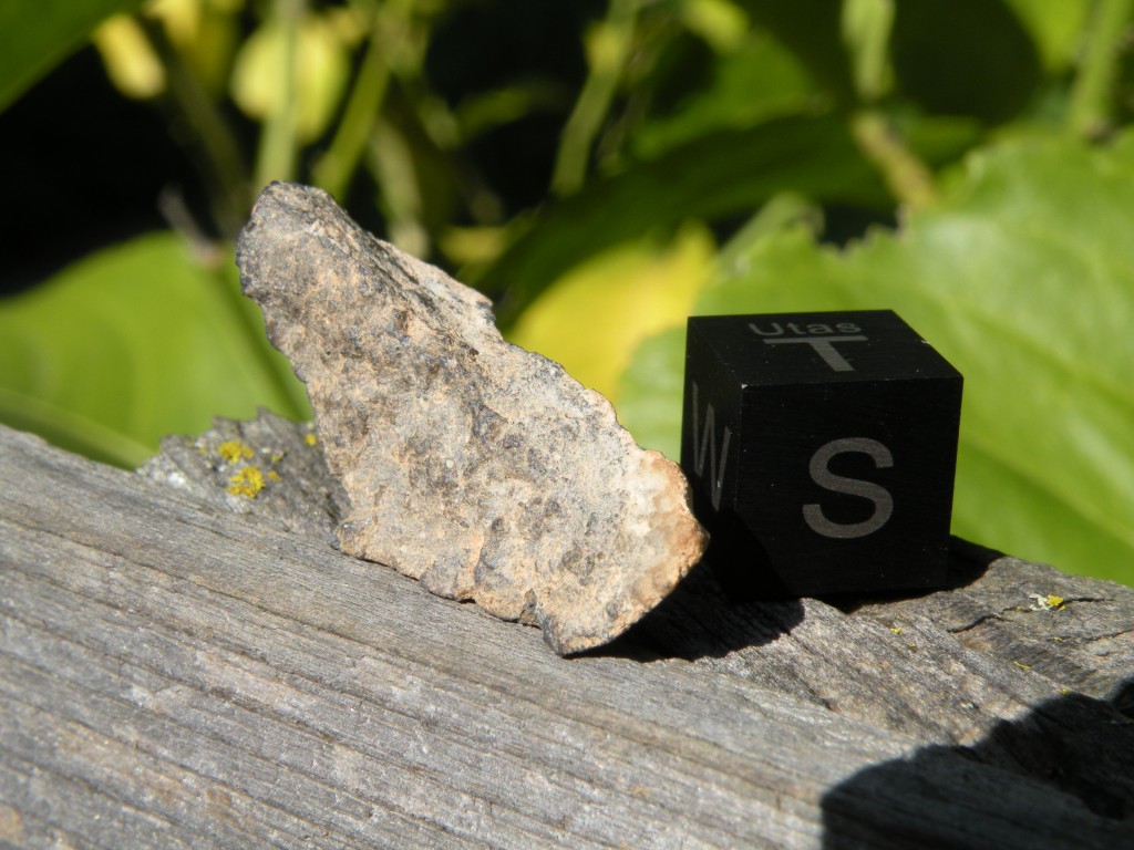 NWA 7034, Martian regolith breccia - Meteorite Gallery