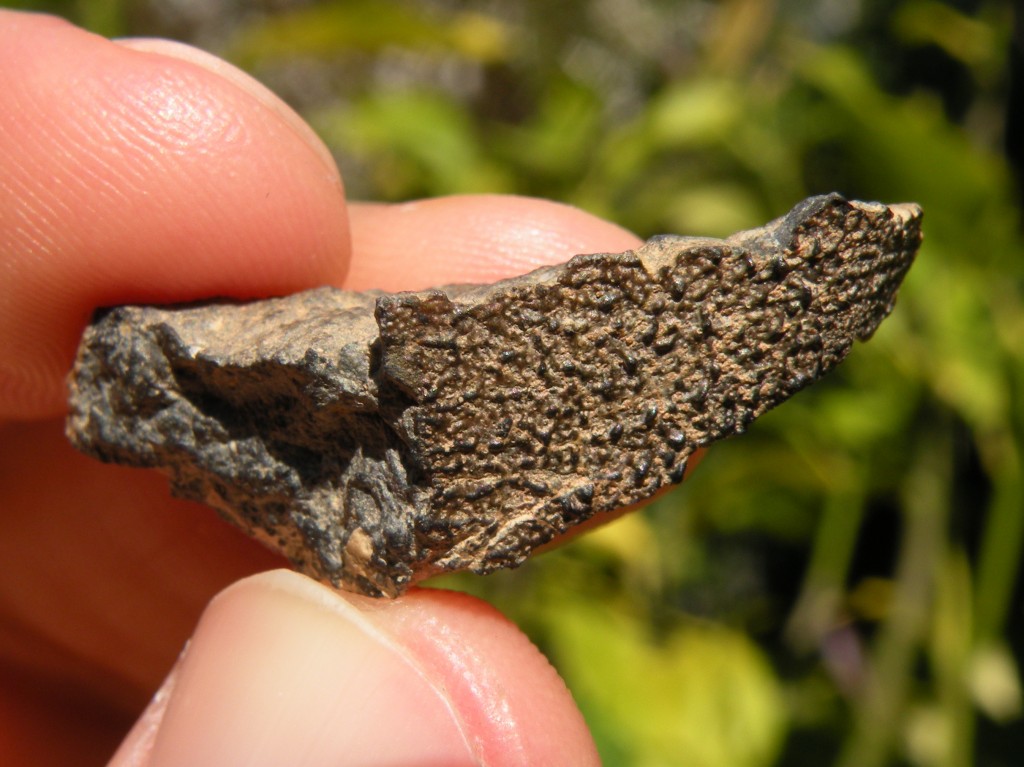 NWA 7034, Martian regolith breccia - Meteorite Gallery