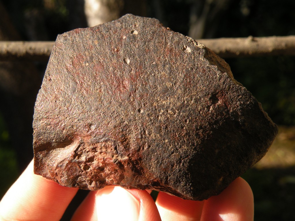 NWA 7669, LL3 - Meteorite Gallery