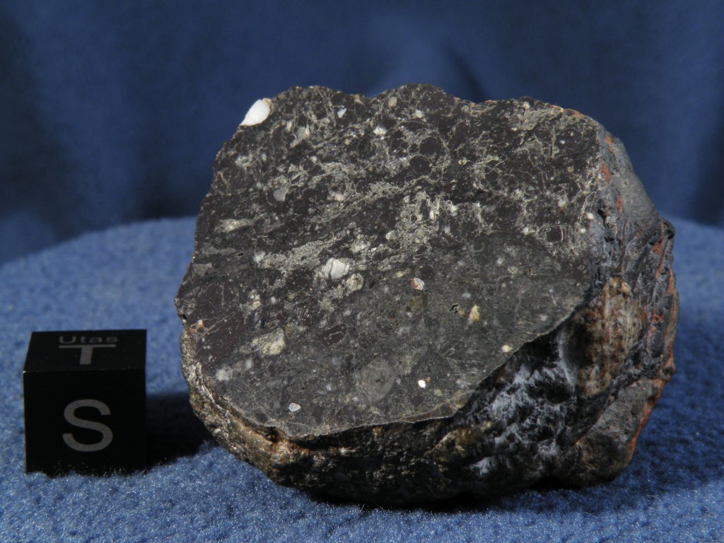 NWA 6470, anorthositic regolith breccia - Meteorite Gallery