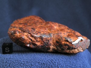 NWA, Coarse Octahedrite - Meteorite Gallery
