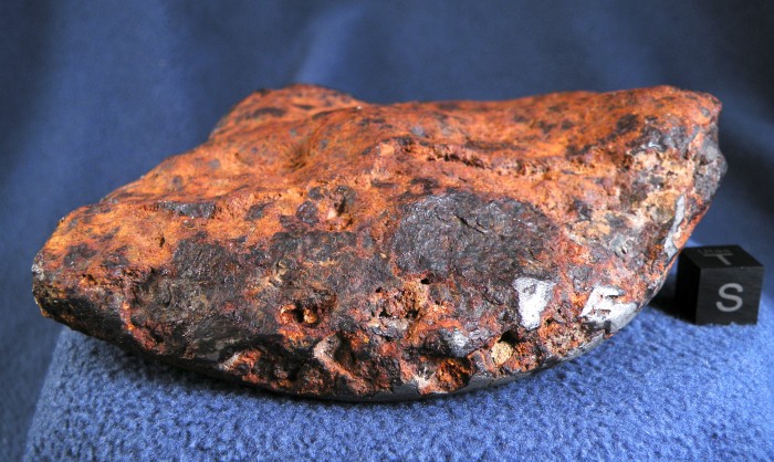 NWA, Coarse Octahedrite - Meteorite Gallery