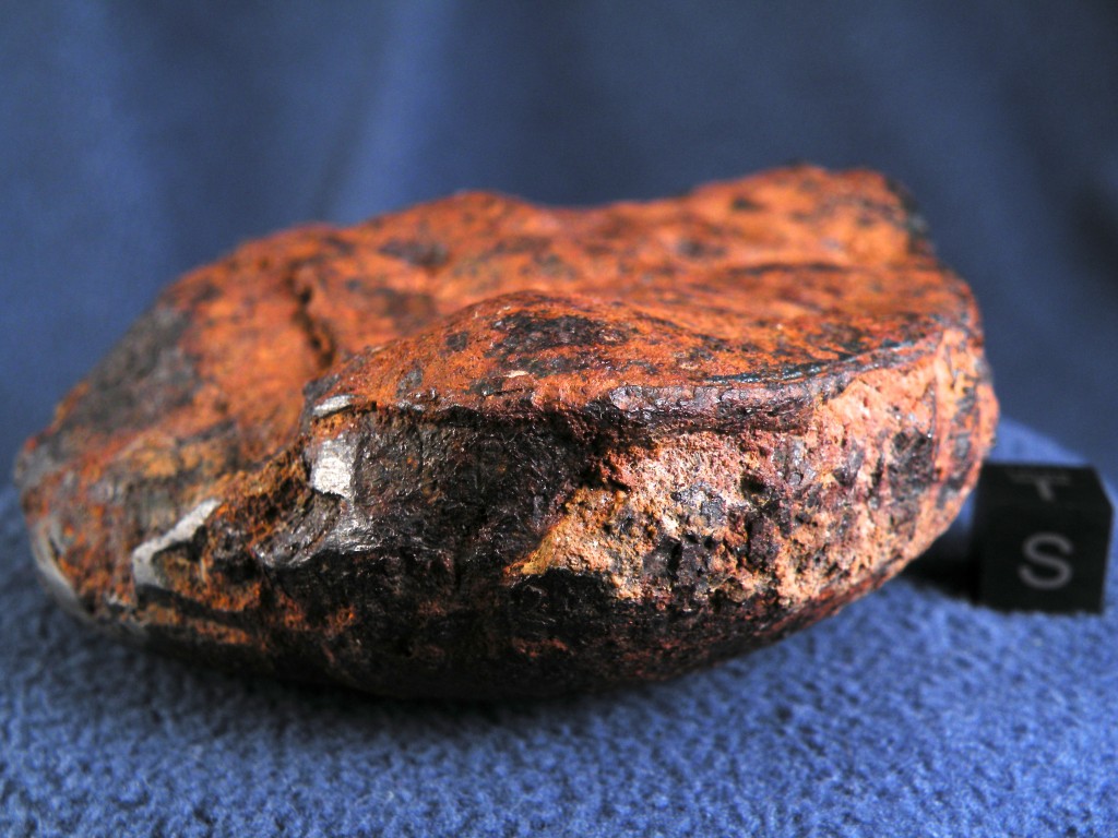 NWA, Coarse Octahedrite - Meteorite Gallery