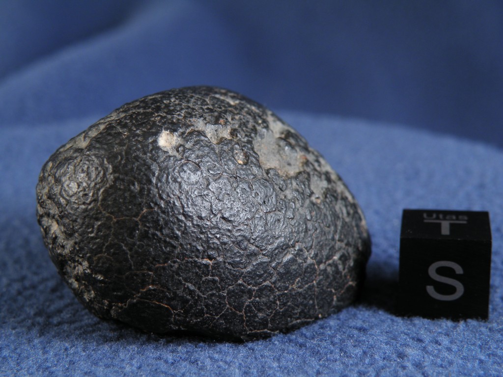 NWA 7805, CK4 - Meteorite Gallery