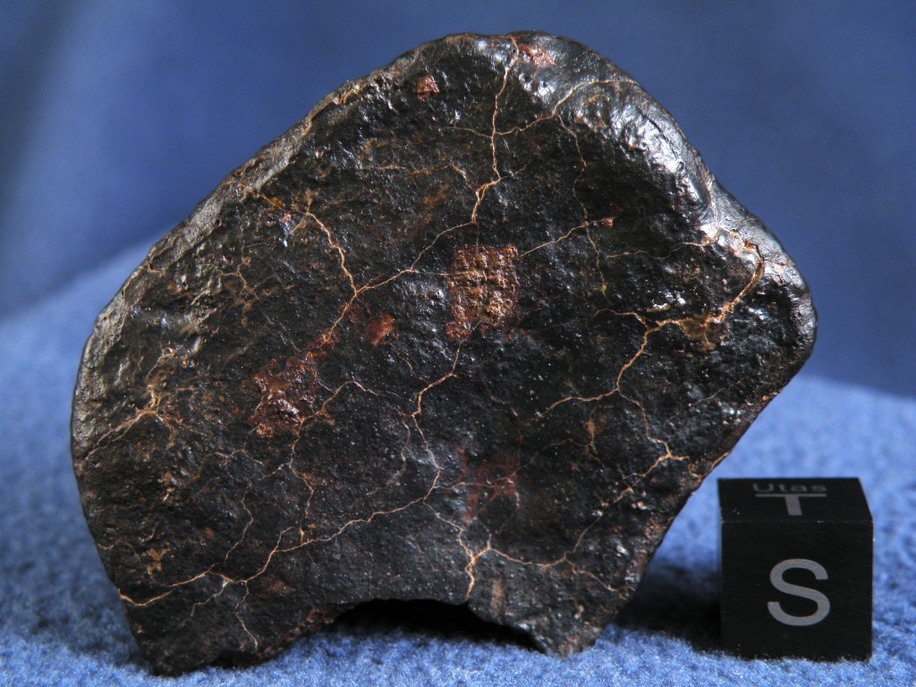 NWA 7799, ureilite - Meteorite Gallery