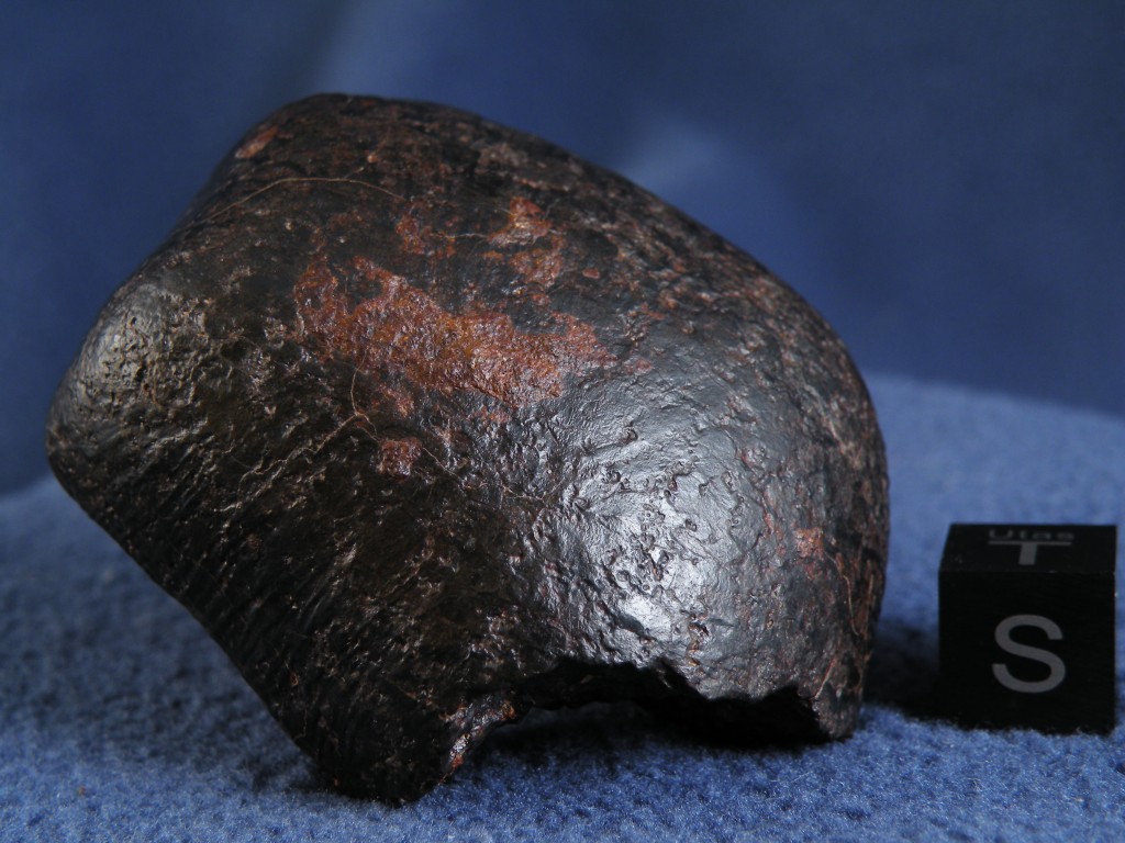 NWA 7799, ureilite - Meteorite Gallery