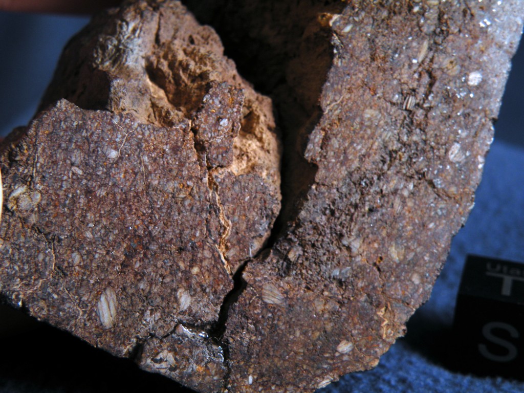 NWA 7809, enstatite achondrite - Meteorite Gallery