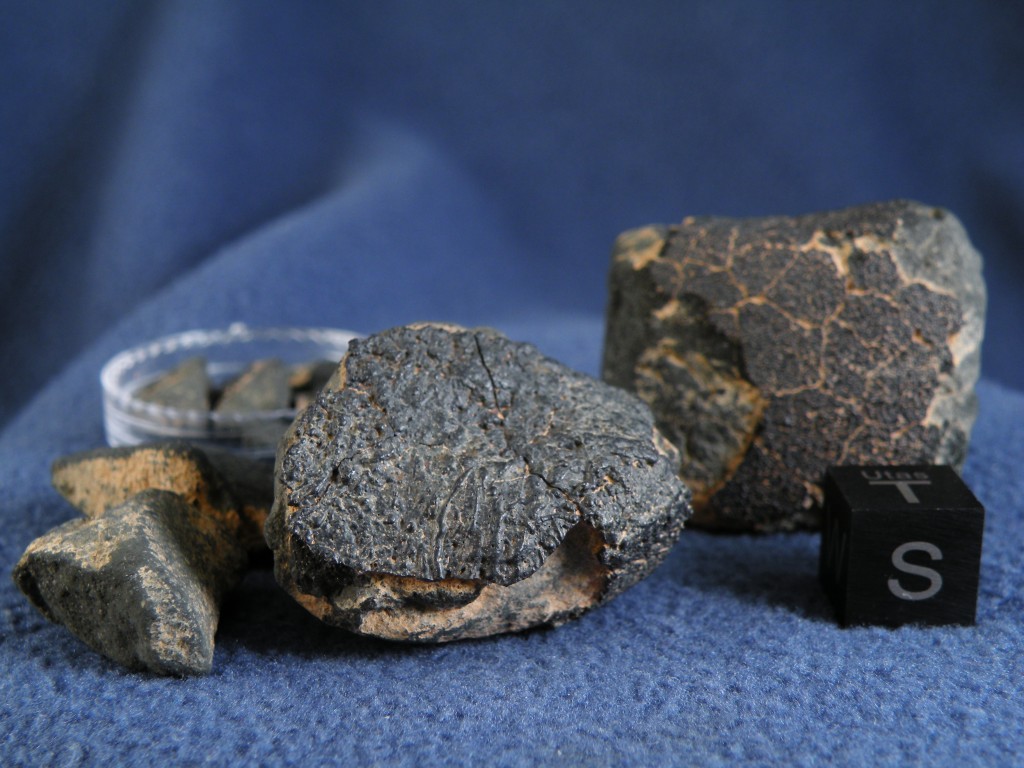 NWA 7802, CM2 - Meteorite Gallery