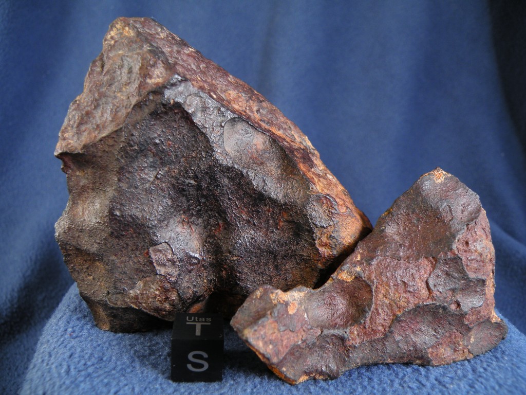 Forrest 002, L6 - Meteorite Gallery