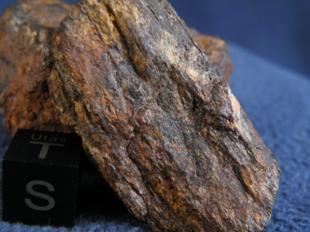 NWA, enstatite crystal - Meteorite Gallery