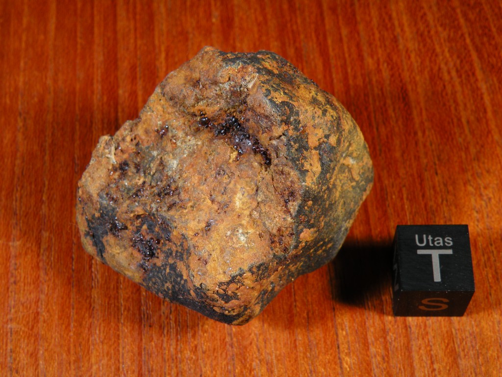 MacKay Glacier, Ordinary Chondrite - Meteorite Gallery