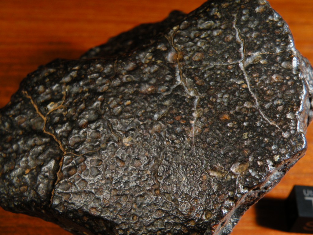 Northwest Africa, CV3 - Meteorite Gallery