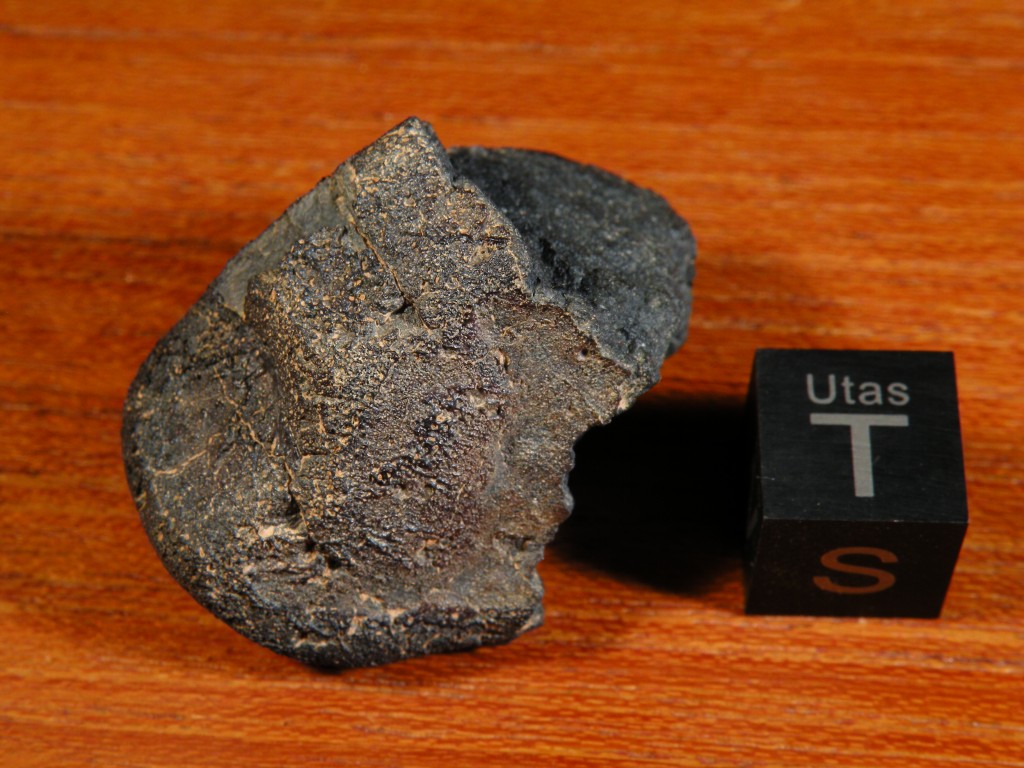 NWA 8047, CM1 - Meteorite Gallery