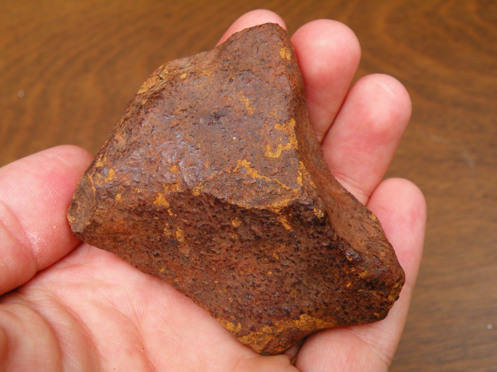 Wellman (c), H4 - Meteorite Gallery