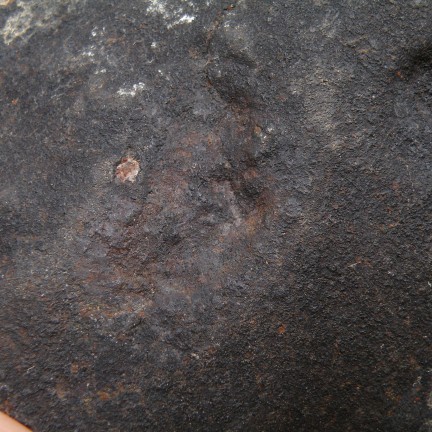 Meteorite Gallery, Photos, Information, Hunting, Research, Preservation