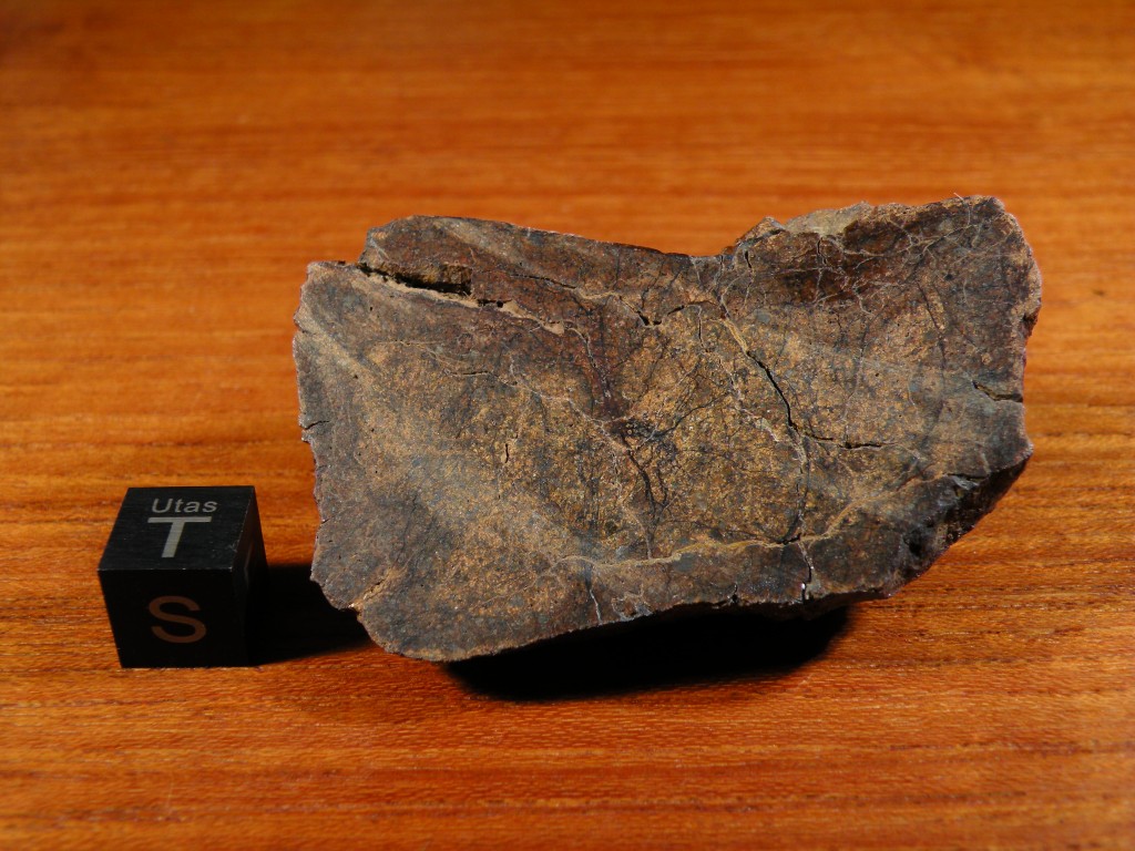 Roosevelt County 082, H4 - Meteorite Gallery