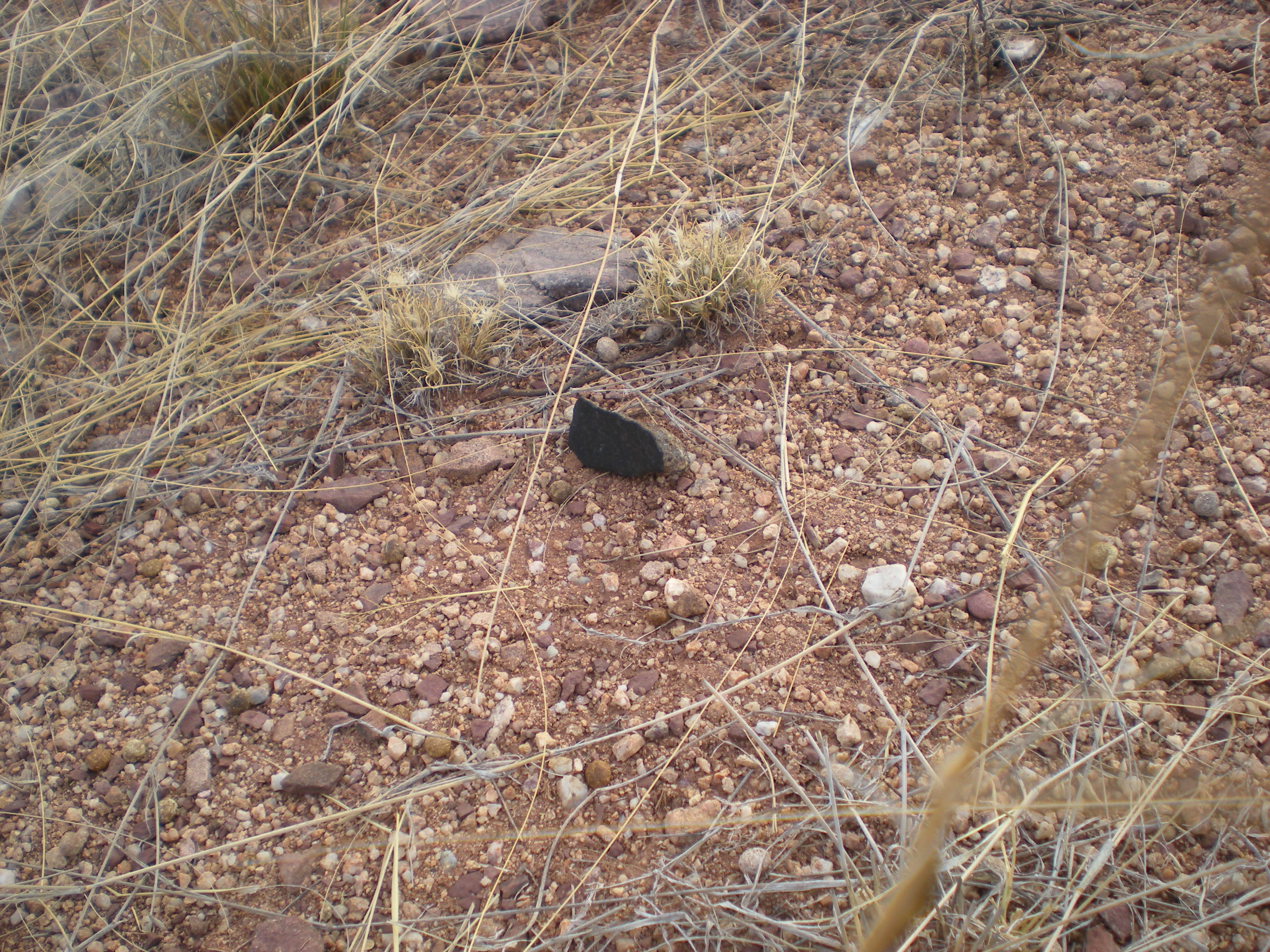 Meteorite Gallery, Photos, Information, Hunting, Research, Preservation