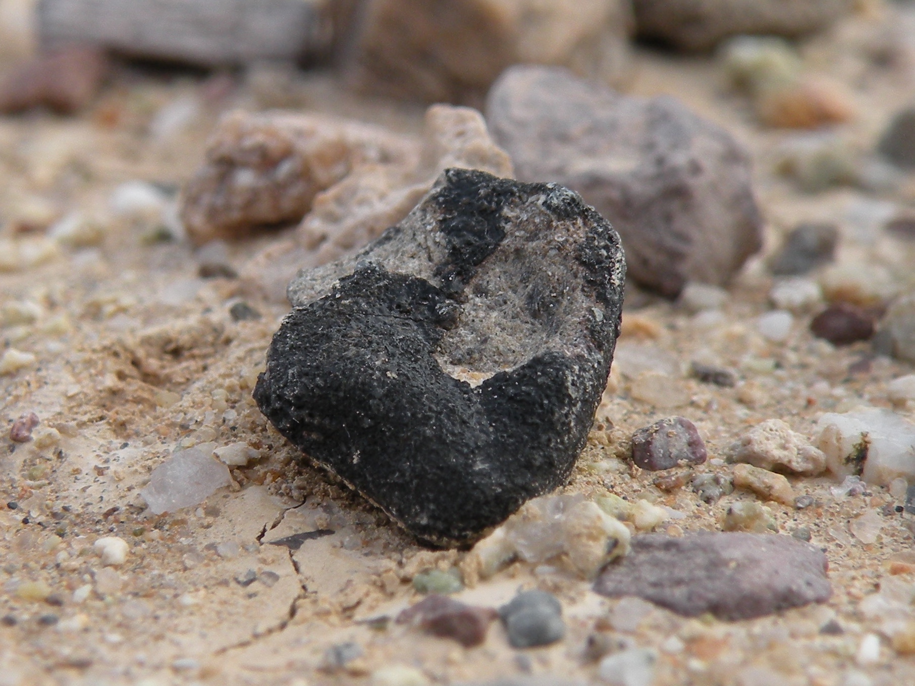 [California], unclassified achondrite - Meteorite Gallery