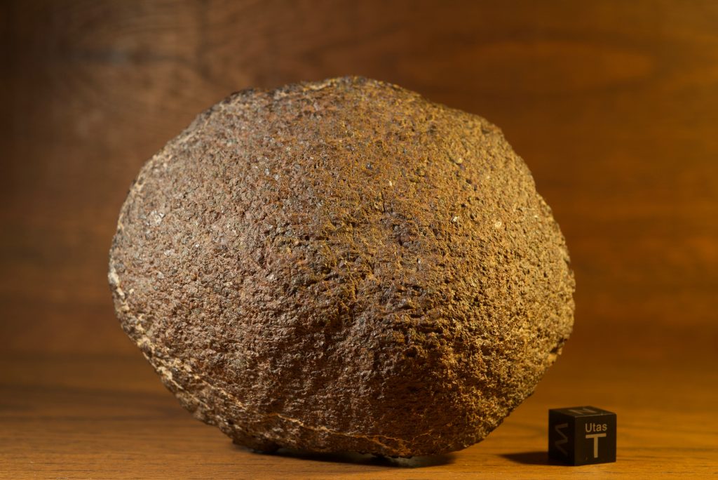 NWA, ureilite - Meteorite Gallery