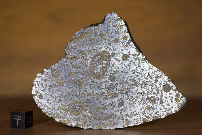 Northwest Africa 176, Ungrouped - Meteorite Gallery